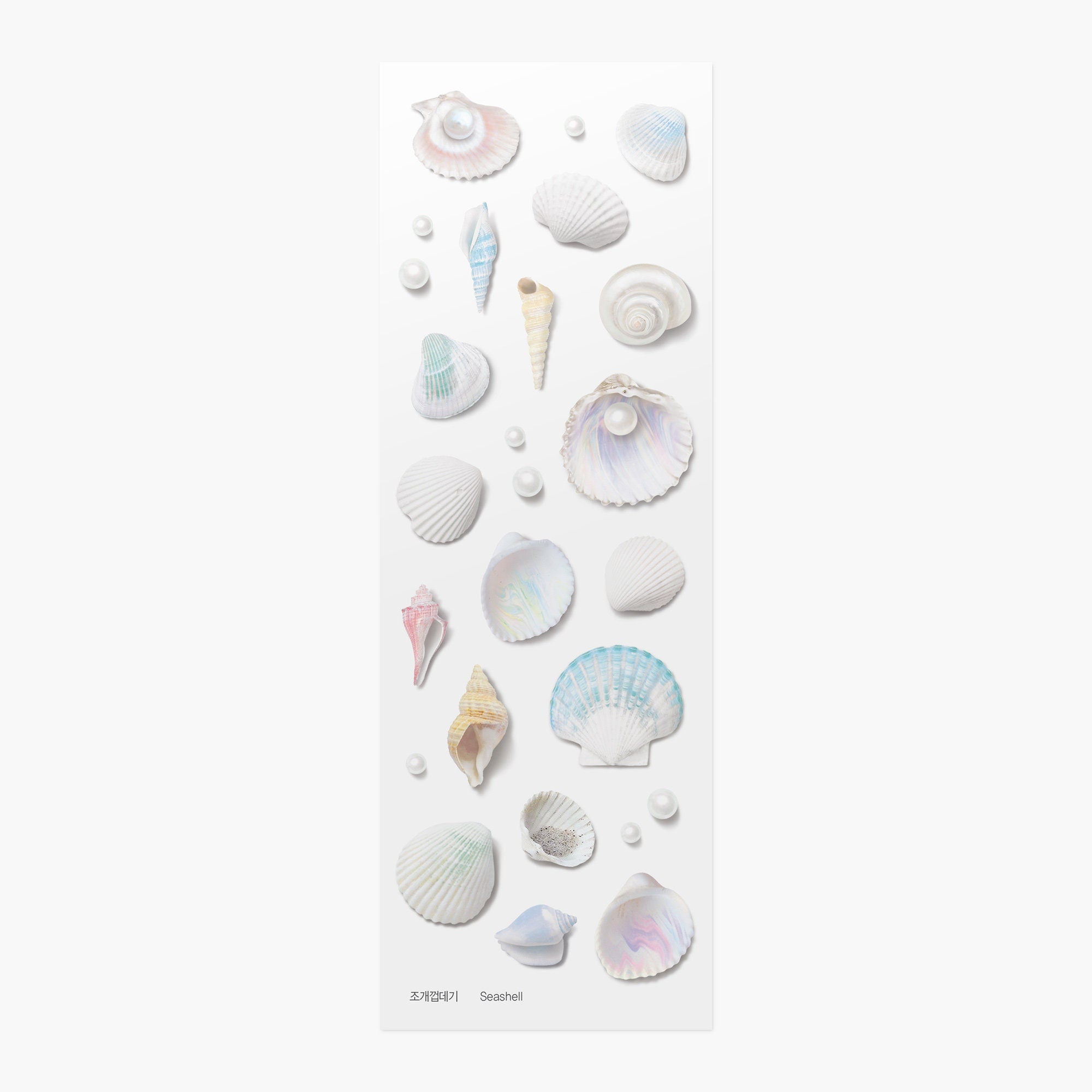 Appree Korea - Nature Stickers- Seashell | Dreaming of Tokyo